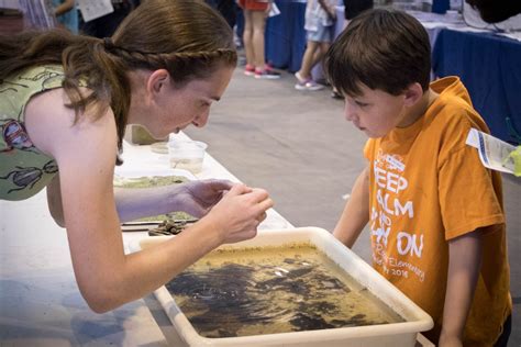 Learning About Aquatic Insects — Extension And Outreach — Department Of