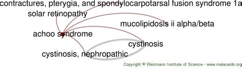 Achoo Syndrome Disease Malacards Research Articles Drugs Genes