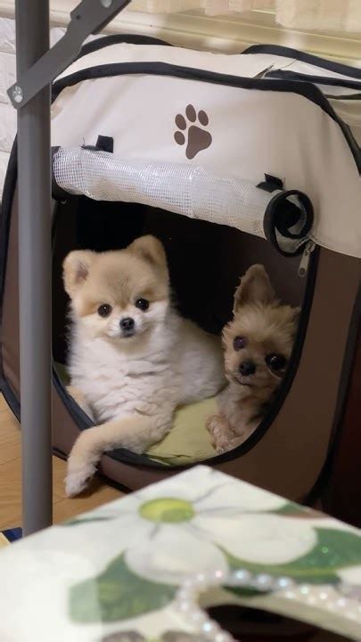 옥상으로 따라와 Youtube