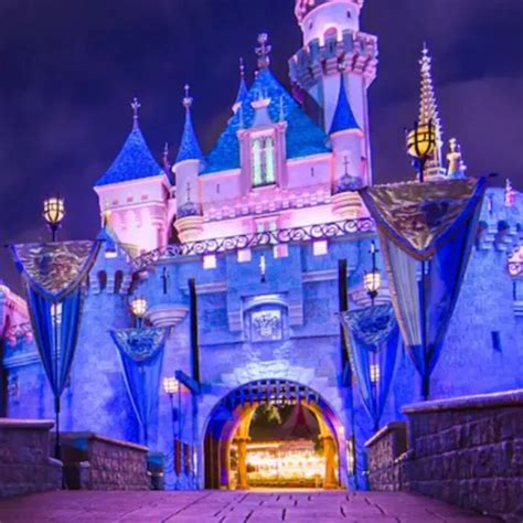 Disneyland After Dark Enjoy Oc