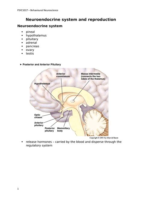 Neuroendocrine System And Reproduction L6 Neuroendocrine System And Reproduction