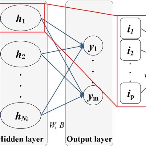 the structure of feedforward neural networks and neurons download