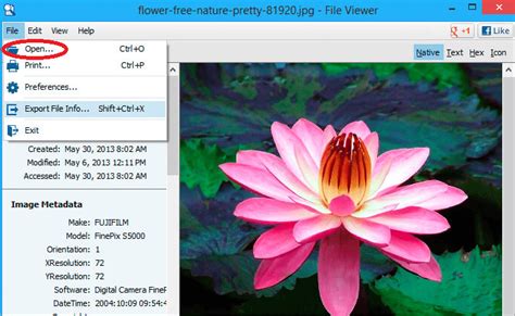 How To Convert HEIC File To And Open It On Windows