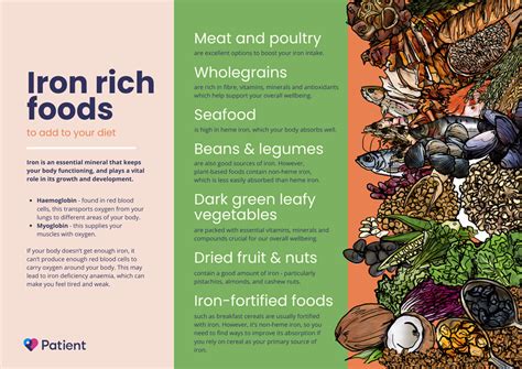 7 Foods High In Iron To Add To Your Diet