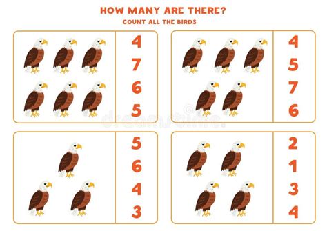 Count All Cute Cartoon Bald Eagles And Circle The Correct Answers