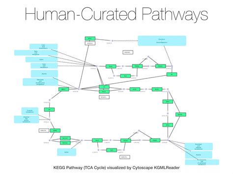 Introduction To Biological Network Analysis And Visualization With Cytoscape Part1 Pdf