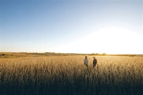 About Us Ag Processing Inc