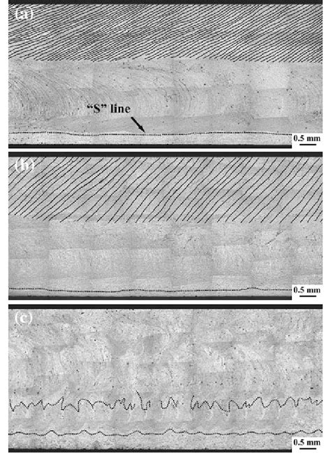 Segregation Bands And S Line Patterns On Longitudinal Cross Download Scientific Diagram