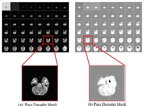 Feature Map Processed By Encoder And Decoder Download Scientific Diagram