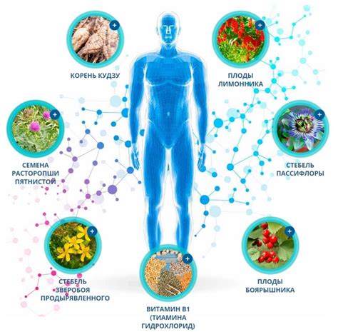 Средство Alcopro от алкогольной зависимости инструкция по применению реальные отзывы купить