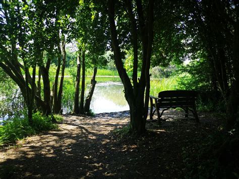 Absolutely Thrilled With My End Of Year Results Particularly For My Research Paper That Looked