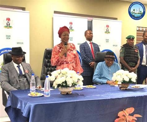 Nddc Brought Shame To Nigeria Says Onochie The Nation Newspaper