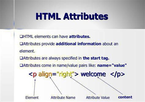 Атрибуты HTML виды и применение HTML справочник