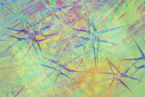 Abstract Polarised Light Micrograph Stock Image C029 2675 Science Photo Library