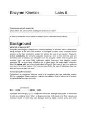 Enzyme Kinetics Lab Online Docx Enzyme Kinetics Labs Questions We Will Examine What