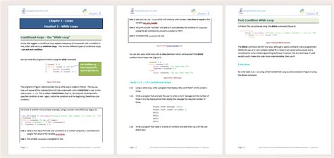 Chapter 3 Python Loops Teaching Resources