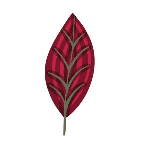 Premium Vector Leaf Plant Tree Colorful Drawing Illustration Symbol