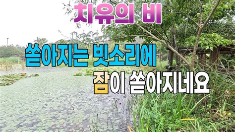 연못에 쏟아지는 빗소리에 잠이 쏟아지네요 불면증과 이명 치료를 위한 빗소리 백색소음 Youtube