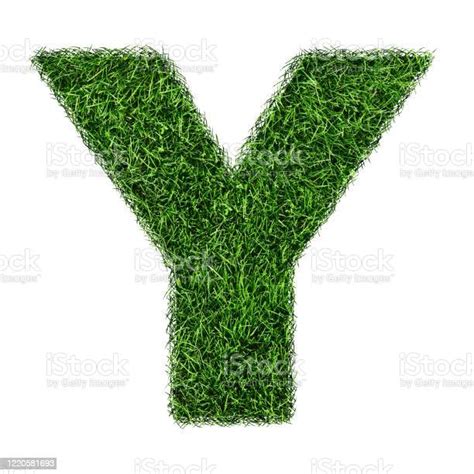 잔디 알파벳의 편지입니다 잔디 문자 Y 흰색 배경에 격리 녹색 잔디 질감의 기호입니다 에코 심볼 컬렉션 3d 일러스트레이션 3