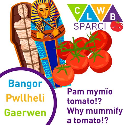 M Sparc On Linkedin Clwb Sparci 🚀 Cawsom Llawer O Hwyl Ddoe Yn Dysgu