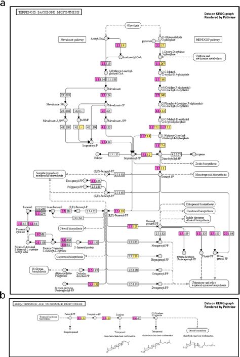 Figure 2 From Employing Genome Mining To Unveil A Potential