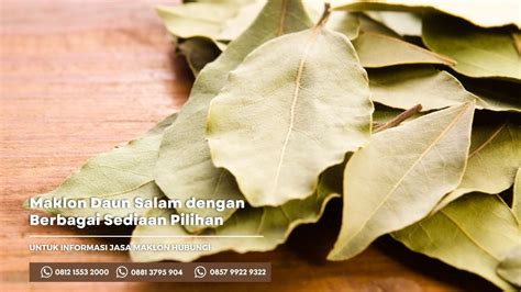 Maklon Daun Salam Dengan Berbagai Sediaan Pilihan