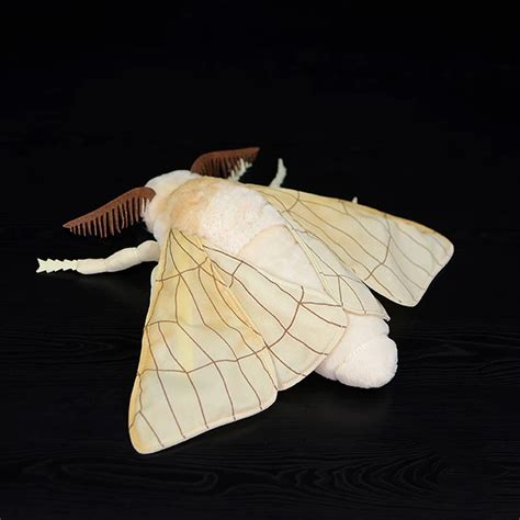 Cute Silkworm Moth