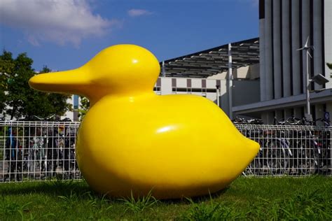 アヒル？ Kyatoooohのブログ