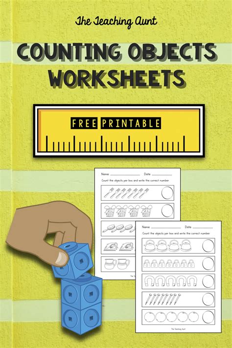 Counting Objects Worksheets The Teaching Aunt