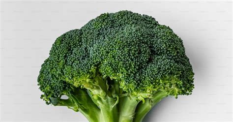 흰색 배경에 브로콜리 한 조각 사진 Unsplash의 야채 이미지