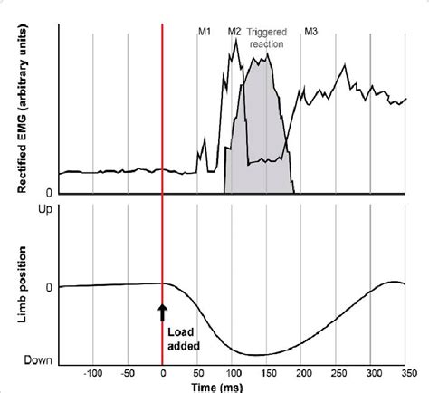 Plot On Latency Time Based On Various Responses Download Scientific Diagram