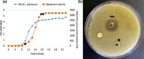 Bacteriostatic Activity And Partial Characterization Of The Bacteriocin Produced By L Plantarum