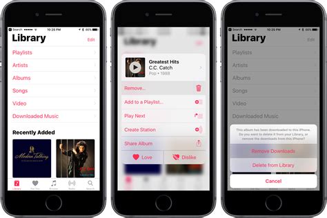 How To Manage And Optimize Downloaded Music Storage On Your IPhone Or IPad