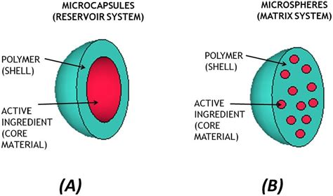 Microencapsulation Based Drug Delivery System Cd Bioparticles