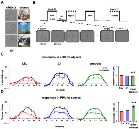 Figure 1 From Functions Of Ventral Visual Cortex After Bilateral Medial