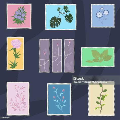 아름다운 우표 세트 손으로 그린 식물과 꽃 다양한 현대 우표에 의해 설계되었습니다 메일로 봉투와 엽서를 보내는 개념입니다 격리된 요소입니다 벡터 개체 그룹에 대한 스톡 벡터