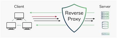Reverse Proxy Server Schutz And Entlastung Für Den Webserver