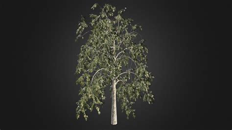 Houdini 3d Models Sketchfab Houdini 3d Models Sketchfab