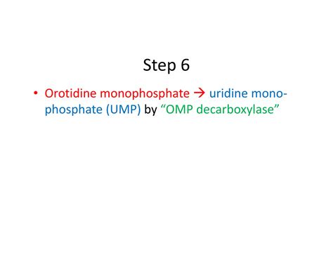 Biosynthesis Of Purine And Pyrimidine Nucleotides Pdf