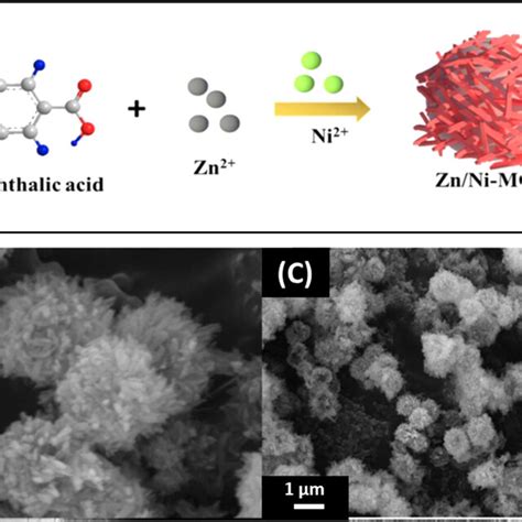 A Schematic Illustration Of Bimetallic Znni Mof Structure B And Download Scientific