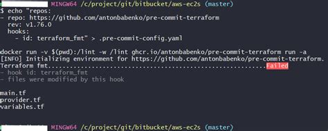 victoria s blog code consistency with pre commit checks