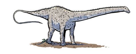 Diplodocus Chaos Of Illusion Wiki Fandom