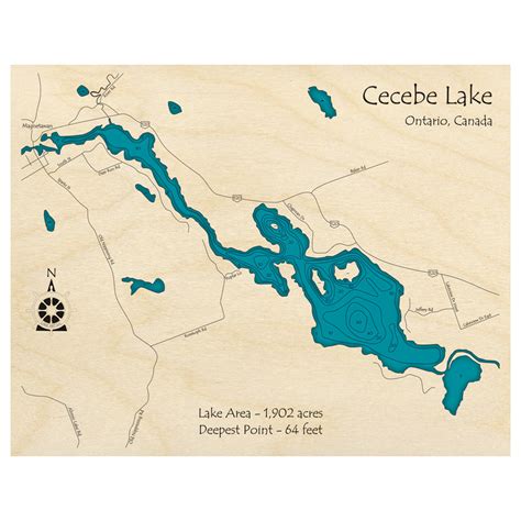 Cecebe Lake Ontario 3d Custom Wood Map Lake Art Llc