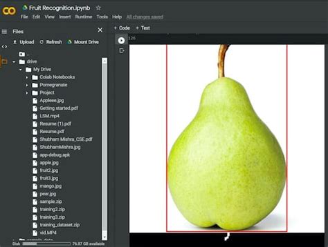 Fruit Classification And Detection Using Deep Convolutional Neural Network