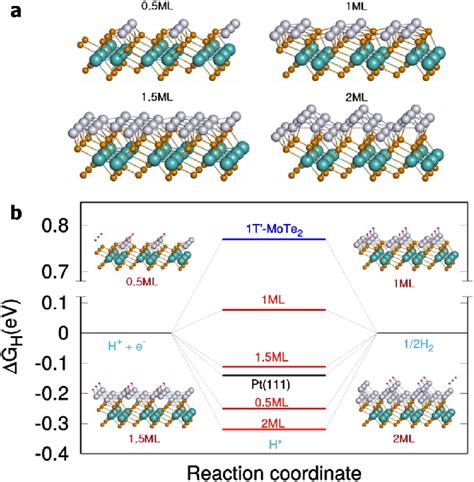 schematics of the pt mote 2 hybrid structure at different pt coverages