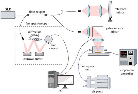 A Spectral Domain Optical Coherence Tomography Sd Oct System Coupled Download Scientific