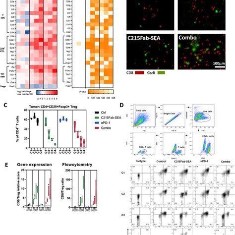 T Cell Polyclonal Expansion Is Derived By Effective Ag Uptake And Download Scientific Diagram