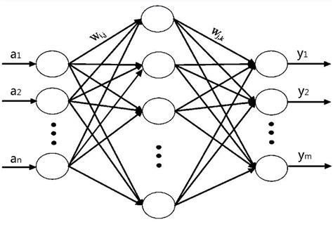 Neural Network Identification Model Structure Download Scientific Diagram