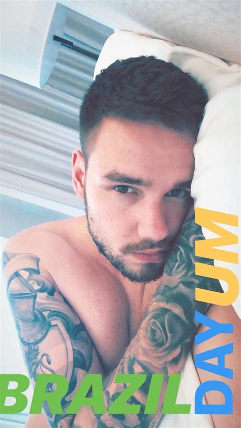 Pin De Frances Geraldene Em ️🌿🦋liam Pyane🦋🌿 ️ Em 2025