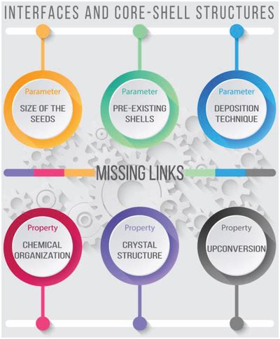 Coreshell And Shellshell Interfaces Shape The Chemical And Structural Download Scientific